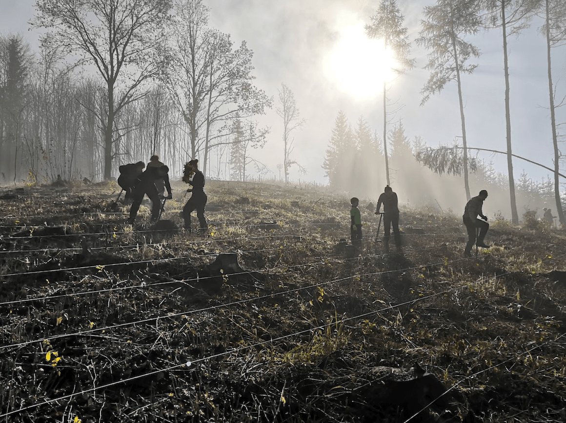 Kdo se bude o stromy starat? - Sázíme Česko